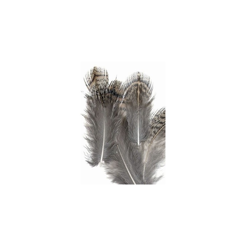 Pluma de Perdiz Inglesa - Premium Hungarian Partridge Feather, compra ...